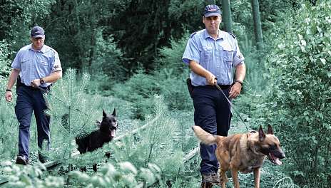 Mitarbeiter*innen | DWSI GmbH