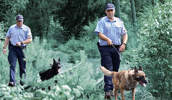 Mitarbeiter*innen | DWSI GmbH