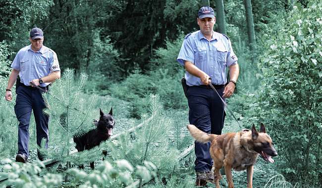 Mitarbeiter*innen | DWSI GmbH